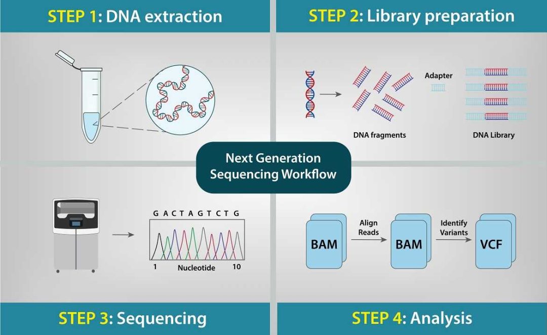 How to Choose DNA Sequencing for Healthcare Professionals