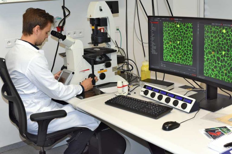 Improve Lab Accuracy: Fluorescence Microscopy for Revolutionary Research